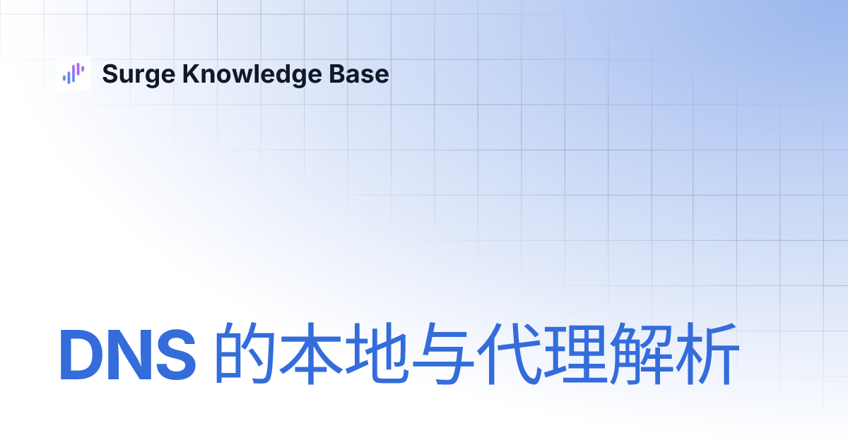 DNS 的本地与代理解析 | Surge Knowledge Base