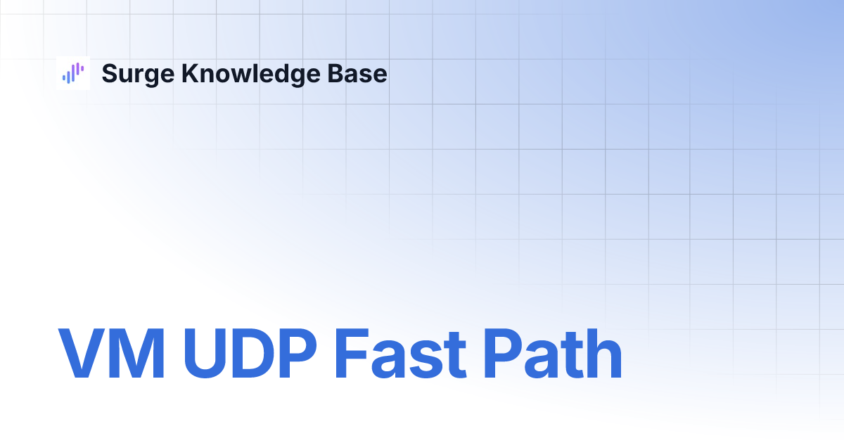 VM UDP Fast Path | 中文 | Surge Knowledge Base